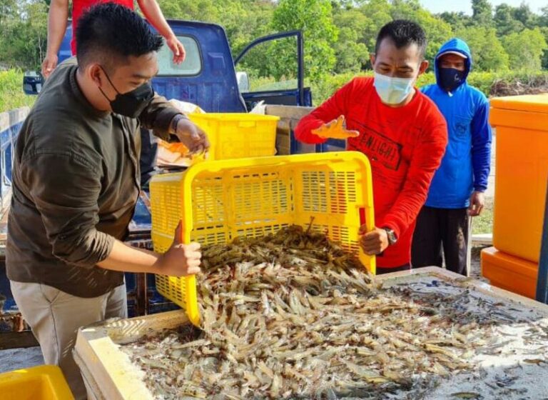 Fakta Menarik Kabupaten Sukamara yang luar biasa - Kaltengpedia